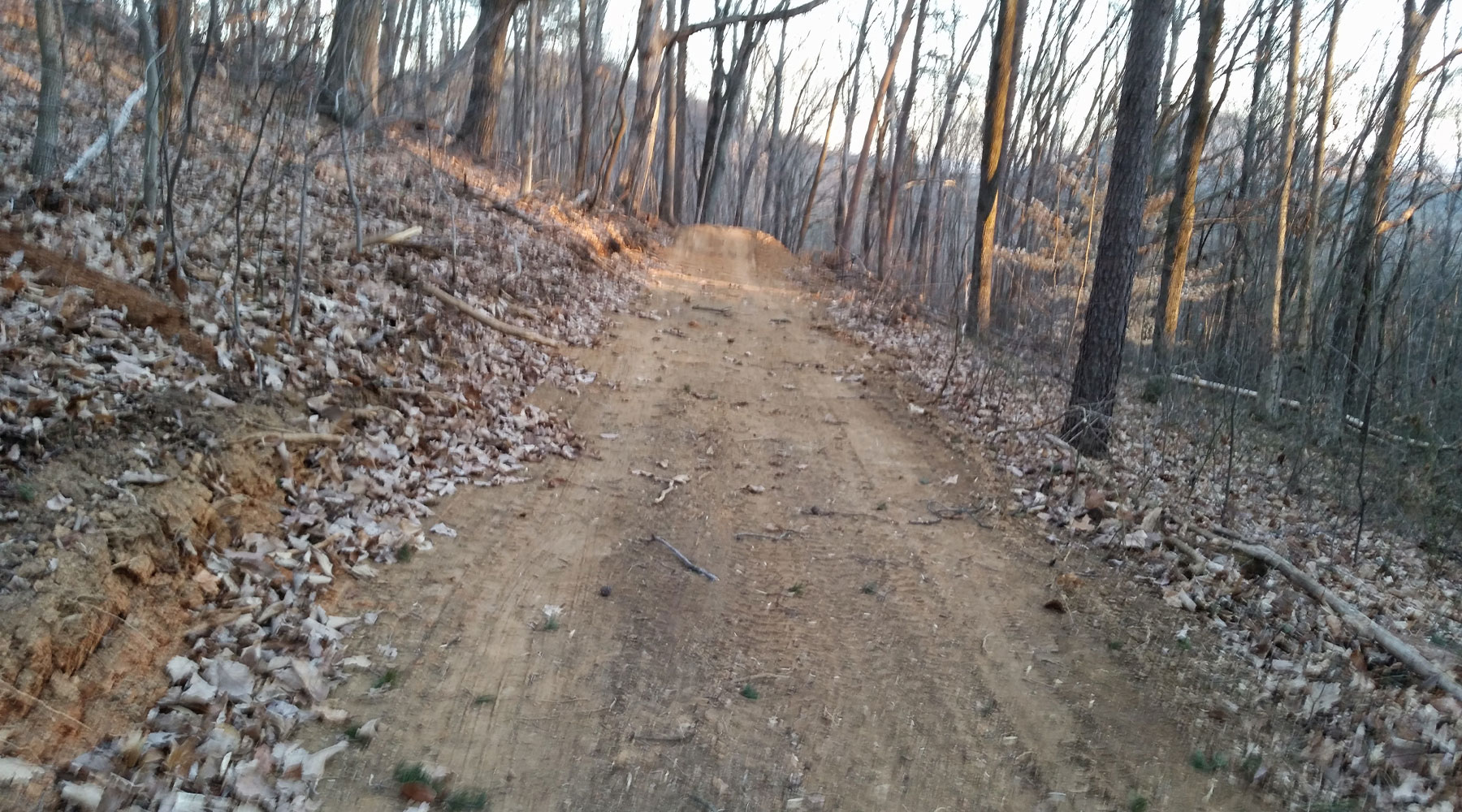 Off Camber Services: Home Page